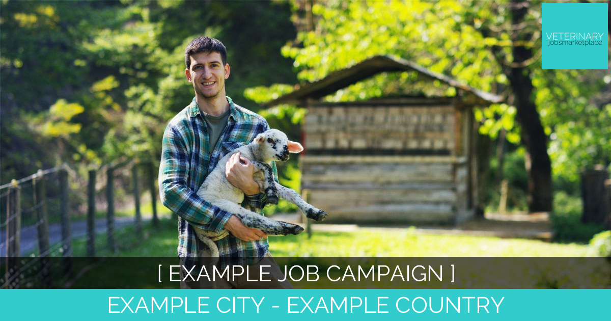 Veterinary Job Ad Example - Best Practice Job Ad Copy | VJM