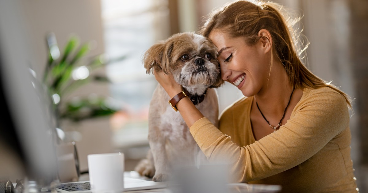 Veterinary Job Ads Prices - reach 347,000+ Vets & Nurses | VJM